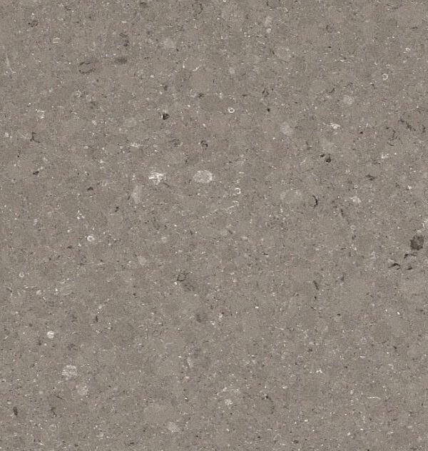 4230 Shitake presskivi - Kaminakoda